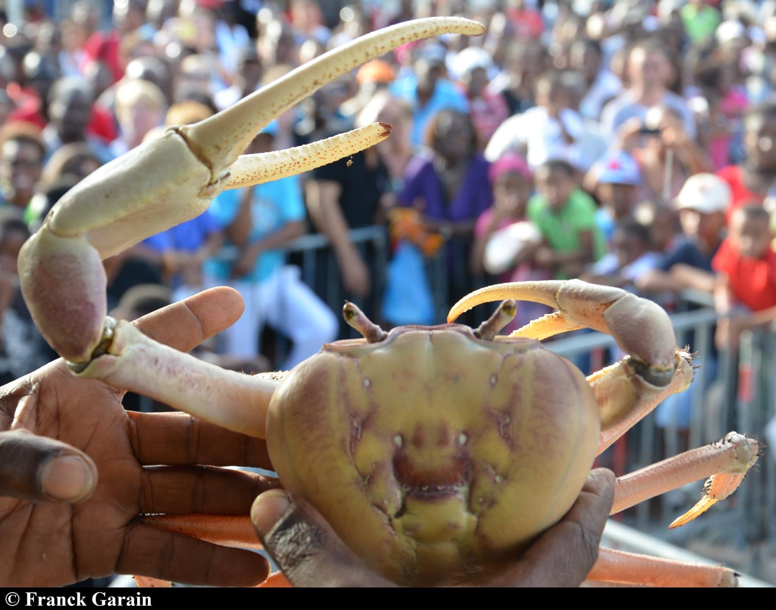 "Journée du Crabe et de la Mangrove" : le crabe à toutes les sauces ...
