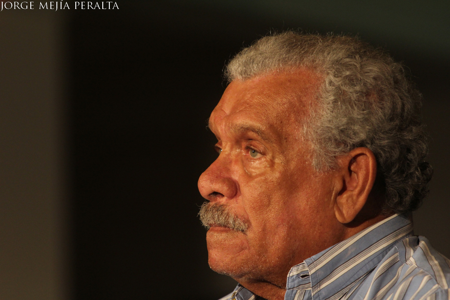 Caribbean Nobel Prize winner, Derek Walcott, is dead - Kariculture