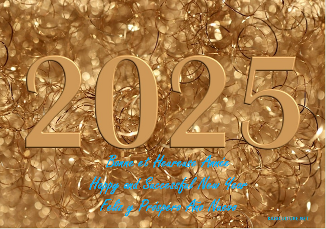 Proverbe Bonne Année 2025: Citation Bonne Année 2023 – VRIMCA